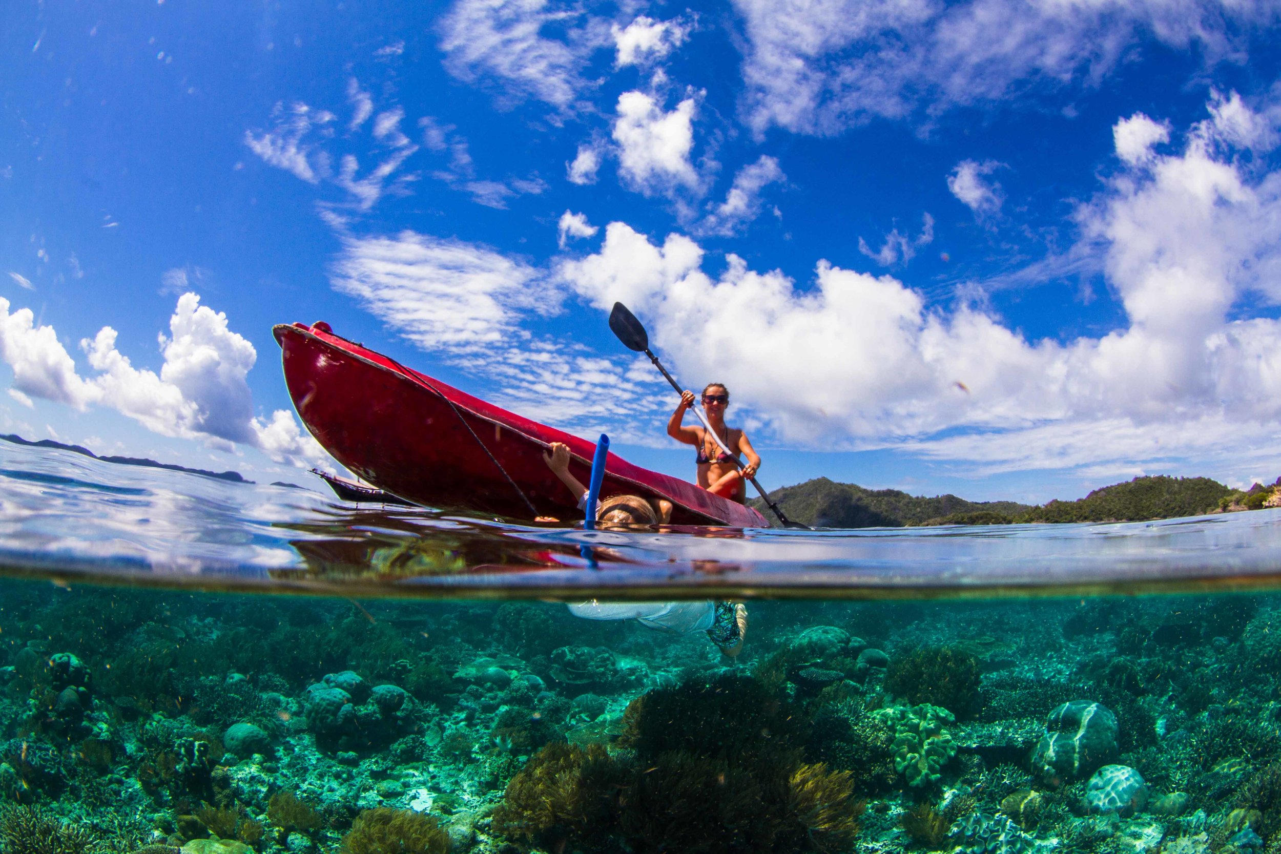 Positive Change for Marine Life | Marine Conservation Through ...