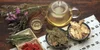 Chinese Medicine Services in Richmond Virginia — Empress Acupuncture