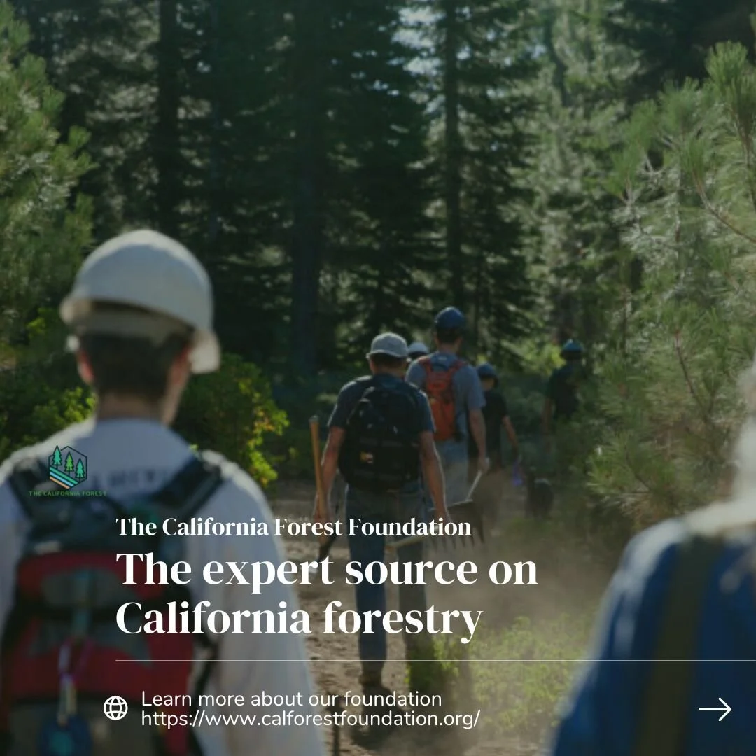 The California Forest Foundation