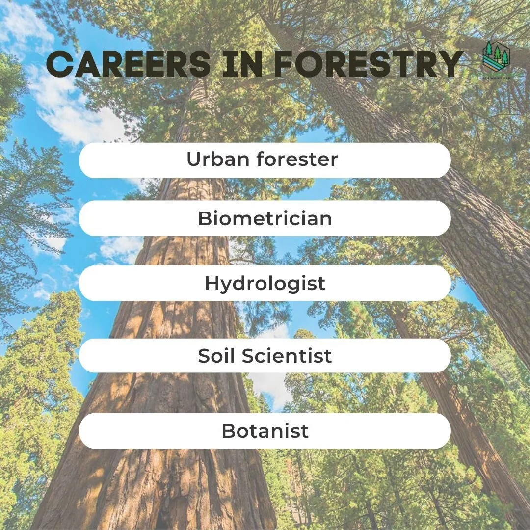 The California Forest Foundation