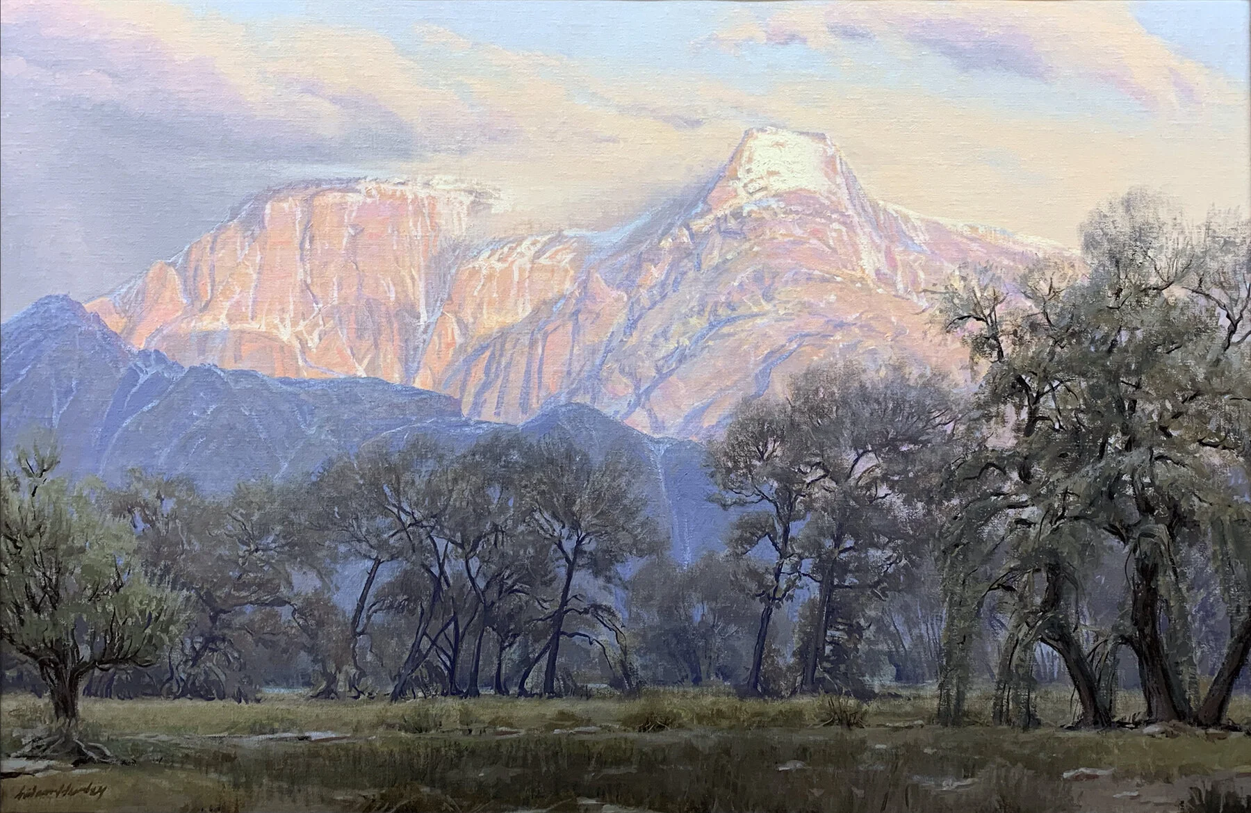 Wilson Hurley — Nedra Matteucci Galleries