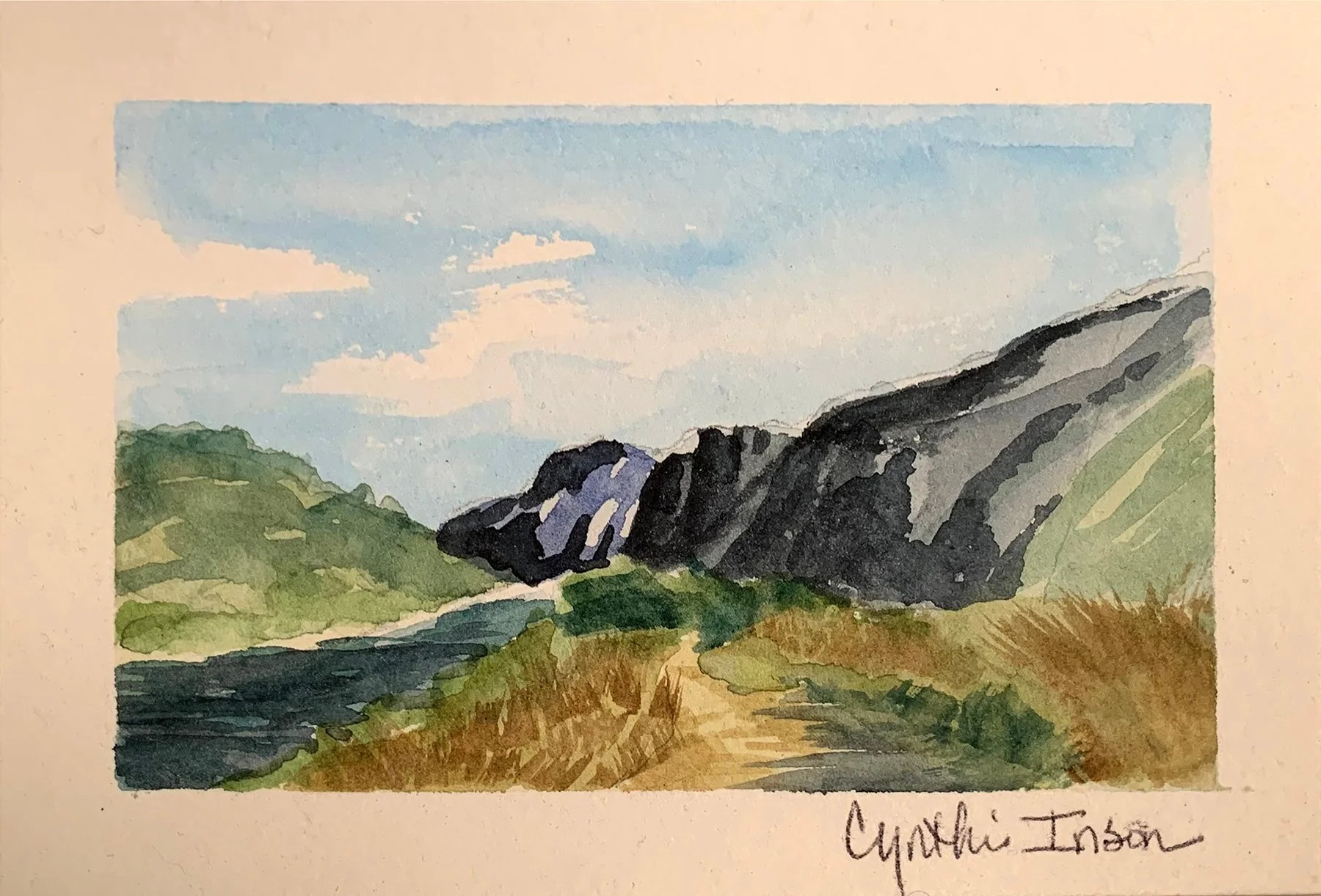 Cynthia Inson — Nedra Matteucci Galleries