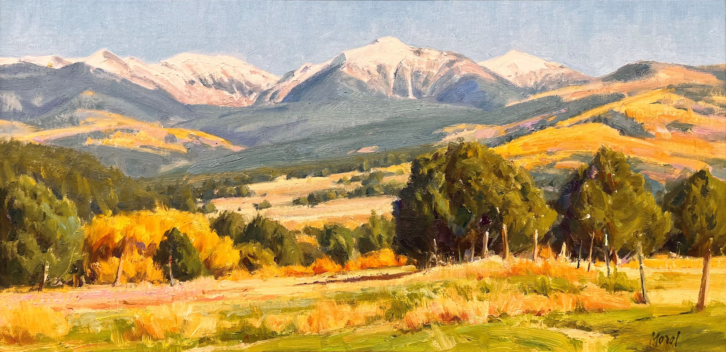 Nedra Matteucci Galleries