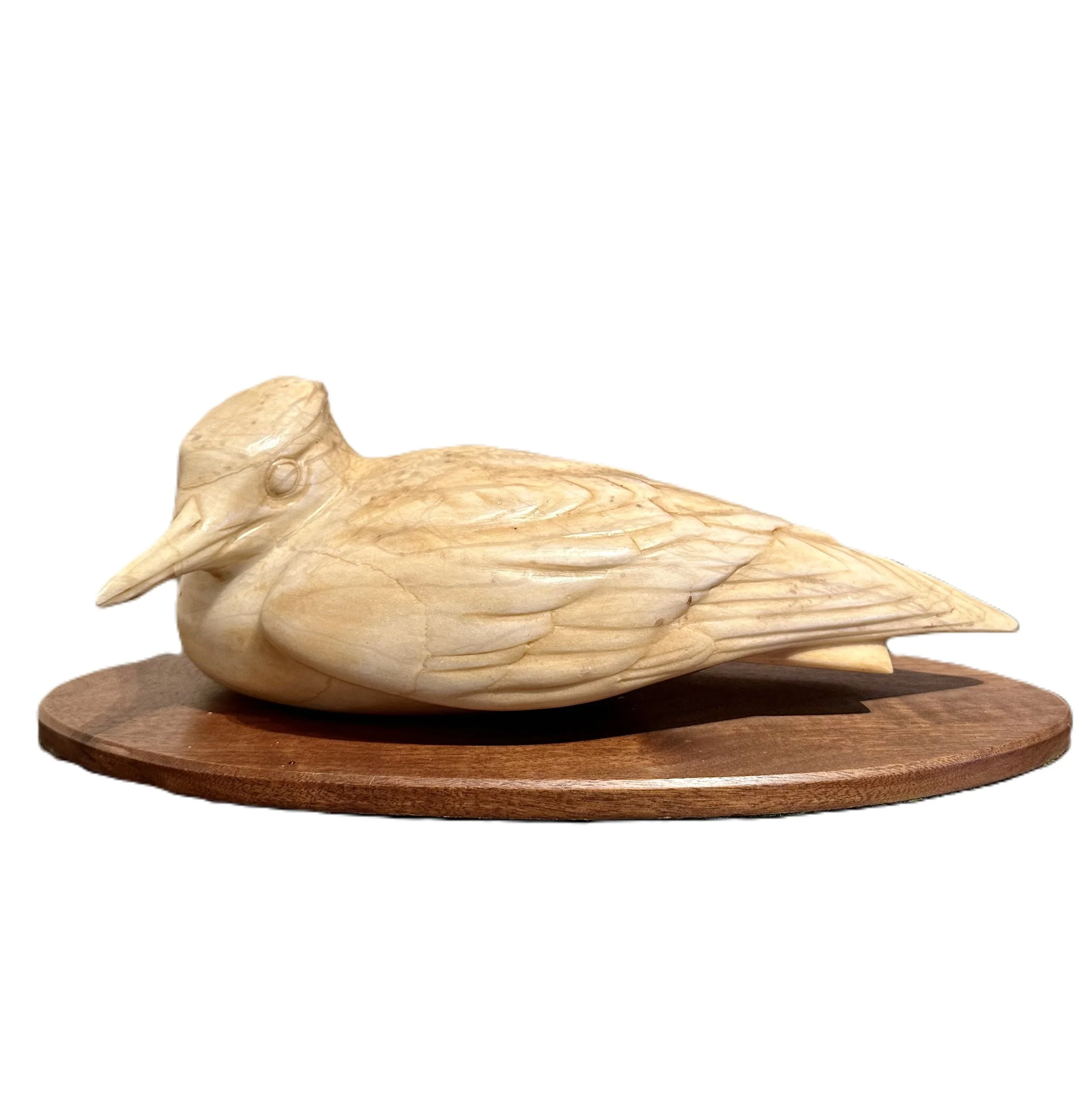 Steve Kestrel — Nedra Matteucci Galleries