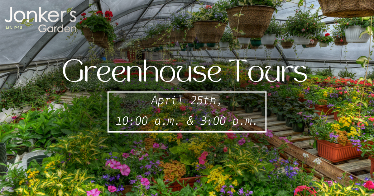 Greenhouse Tours! — Jonker's Garden
