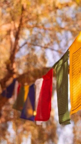 Yangchenma Arts & Music