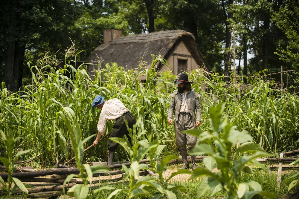 Agriculture In Colonial Times