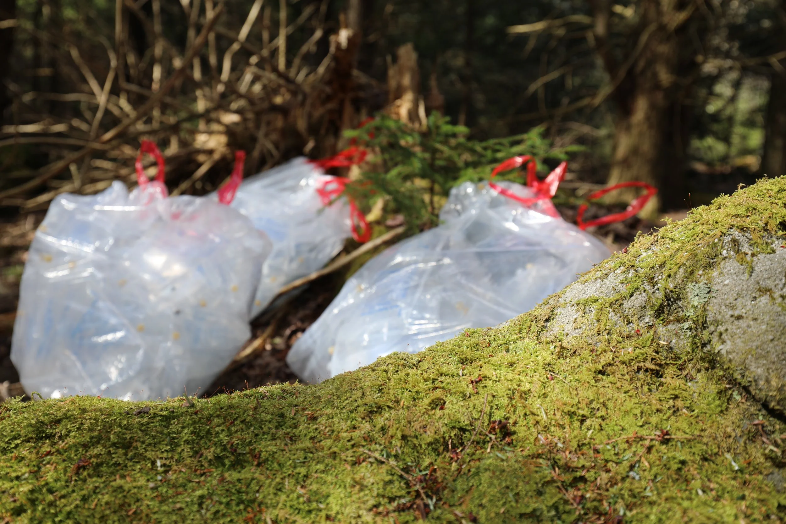 the hidden costs of wellness — marta lola staudinger