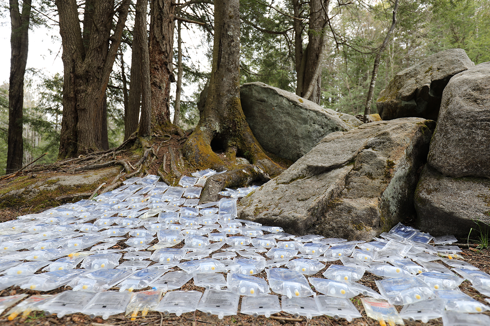 the hidden costs of wellness — marta lola staudinger