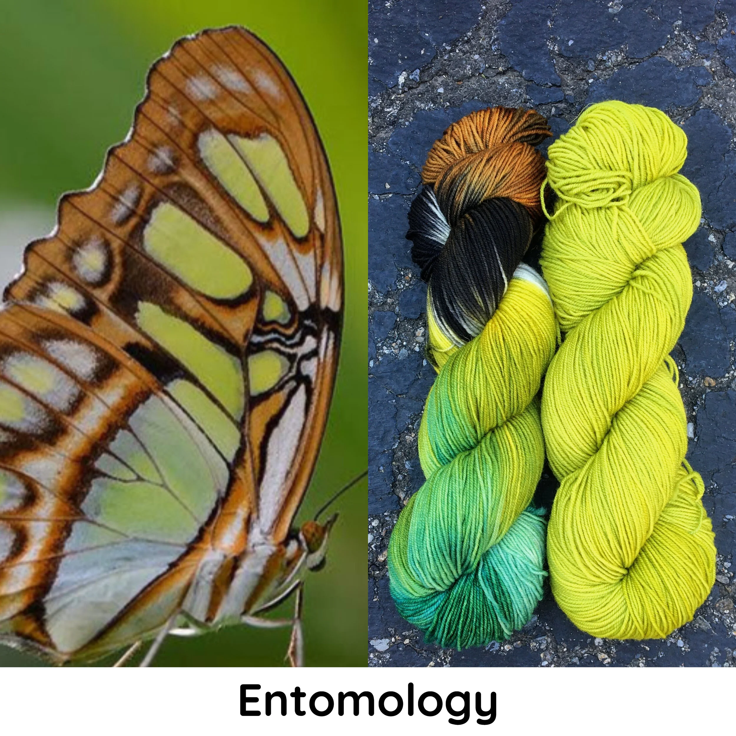 Round Mountain Fibers