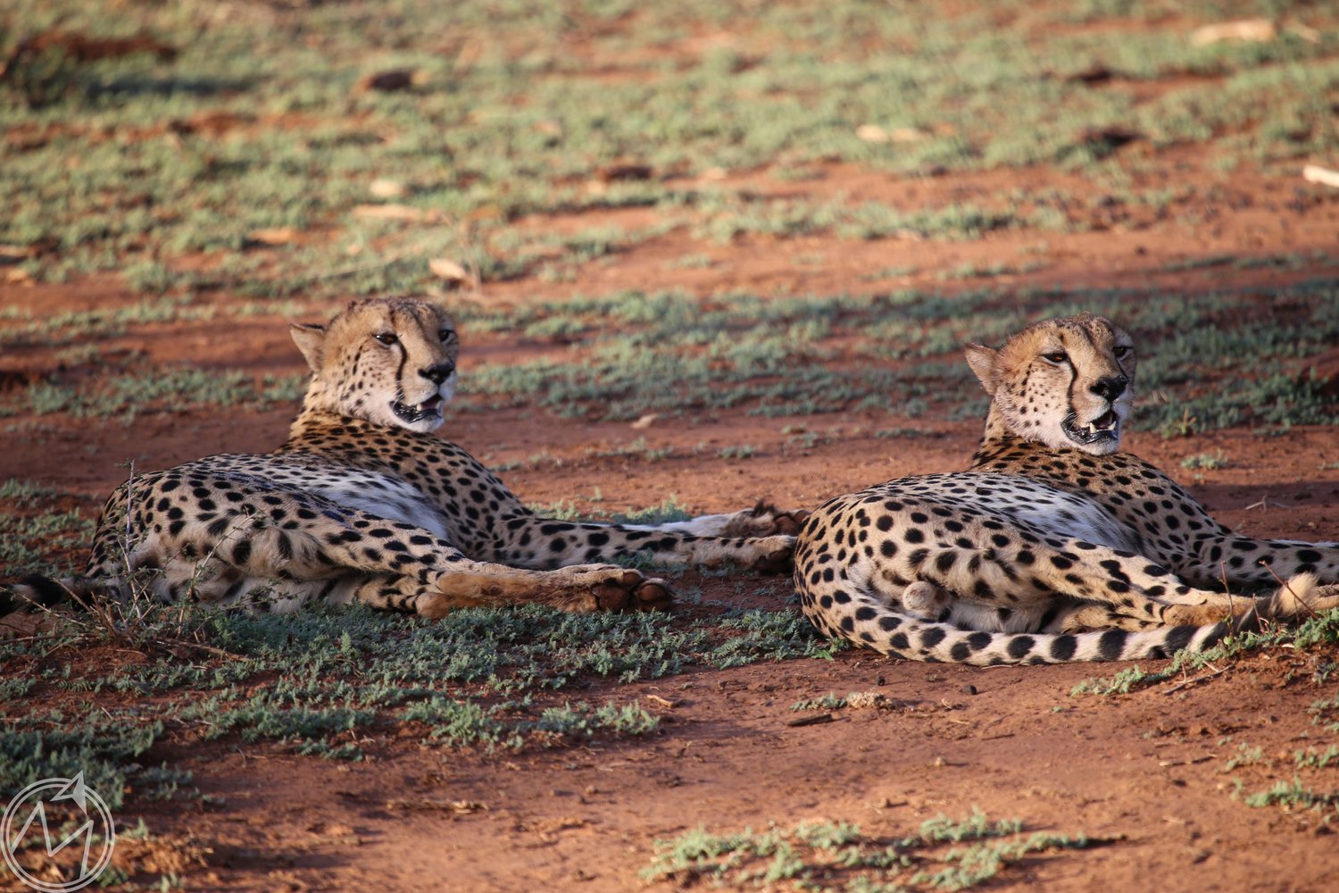 africa part 3: 'get damn excited' — mcclures on the map