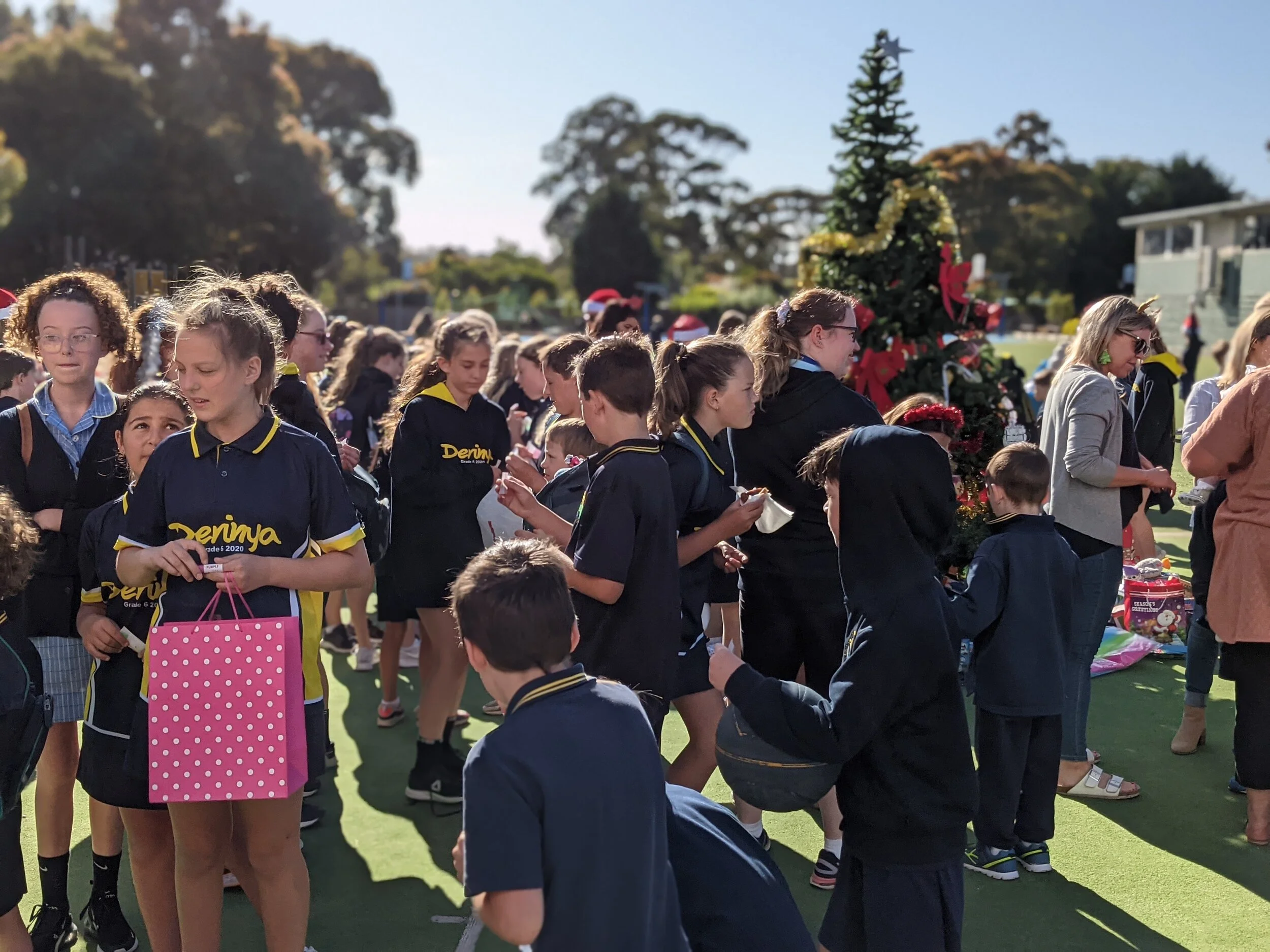 Derinya Primary School