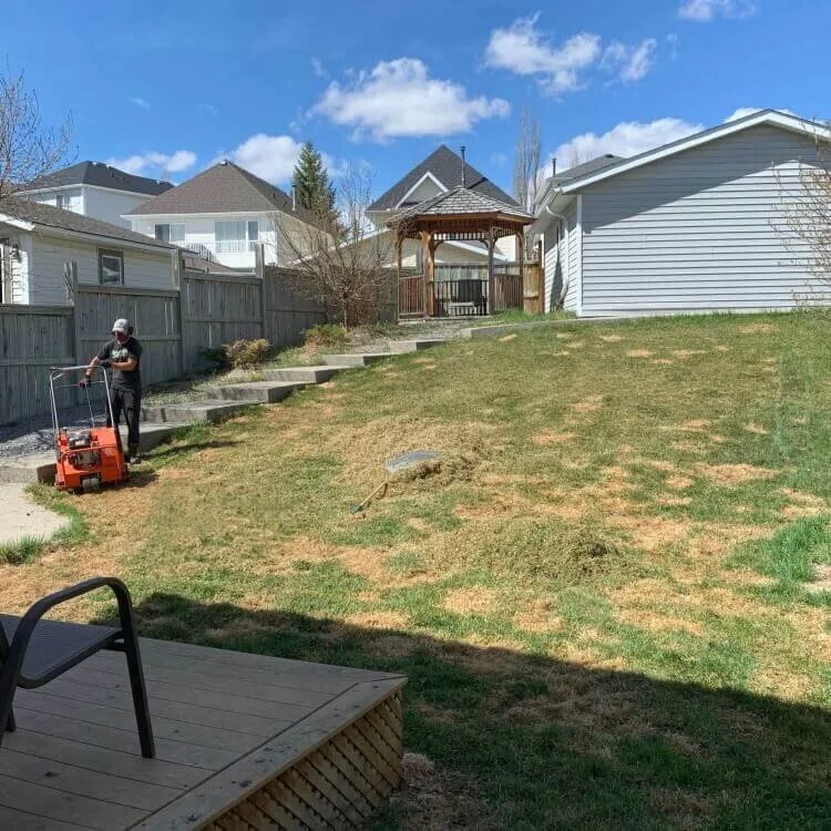 Gallery - Legendary Lawn Care & Snow Removal in NW Calgary