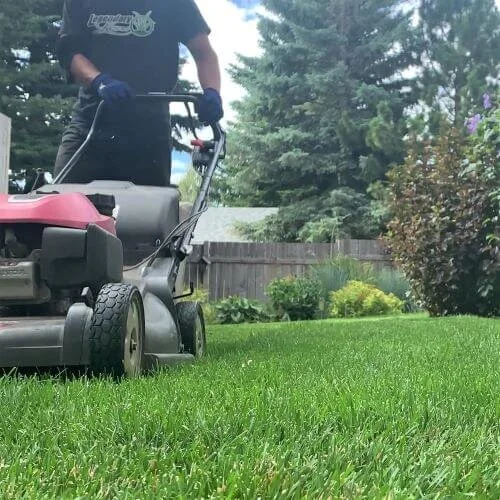 Calgary Power Raking, Aeration & Spring Yard Cleanup Services