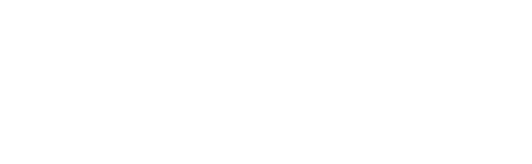 Present Pal: Presentation Support App for DSA | Build Confidence