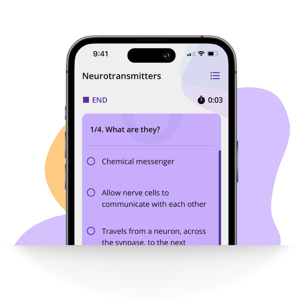 Present Pal: Presentation Support App for DSA | Build Confidence