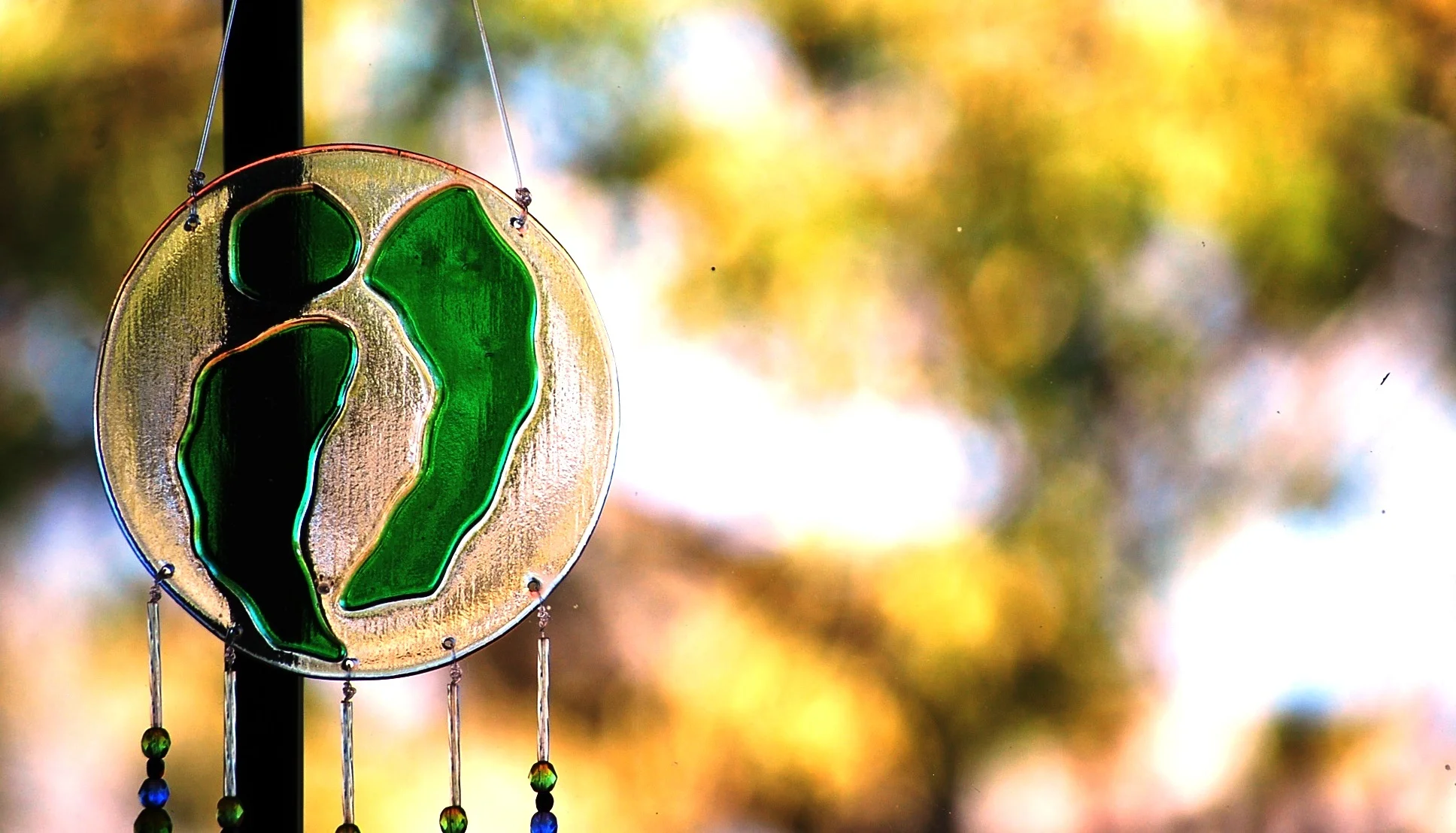 Nia Training Overview — Soma Ranch