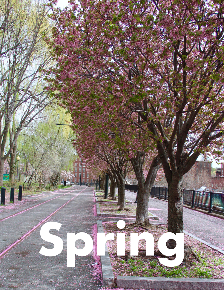 #Lowell: There's A Lot To like, Art, Culture, Dining, Restaurants ...