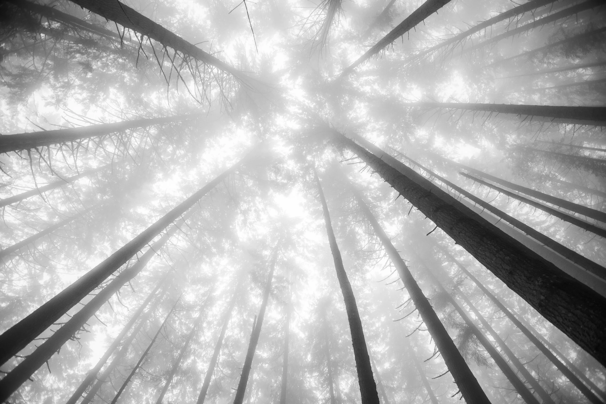 10 Mile Radius — Scott Rinckenberger Photography