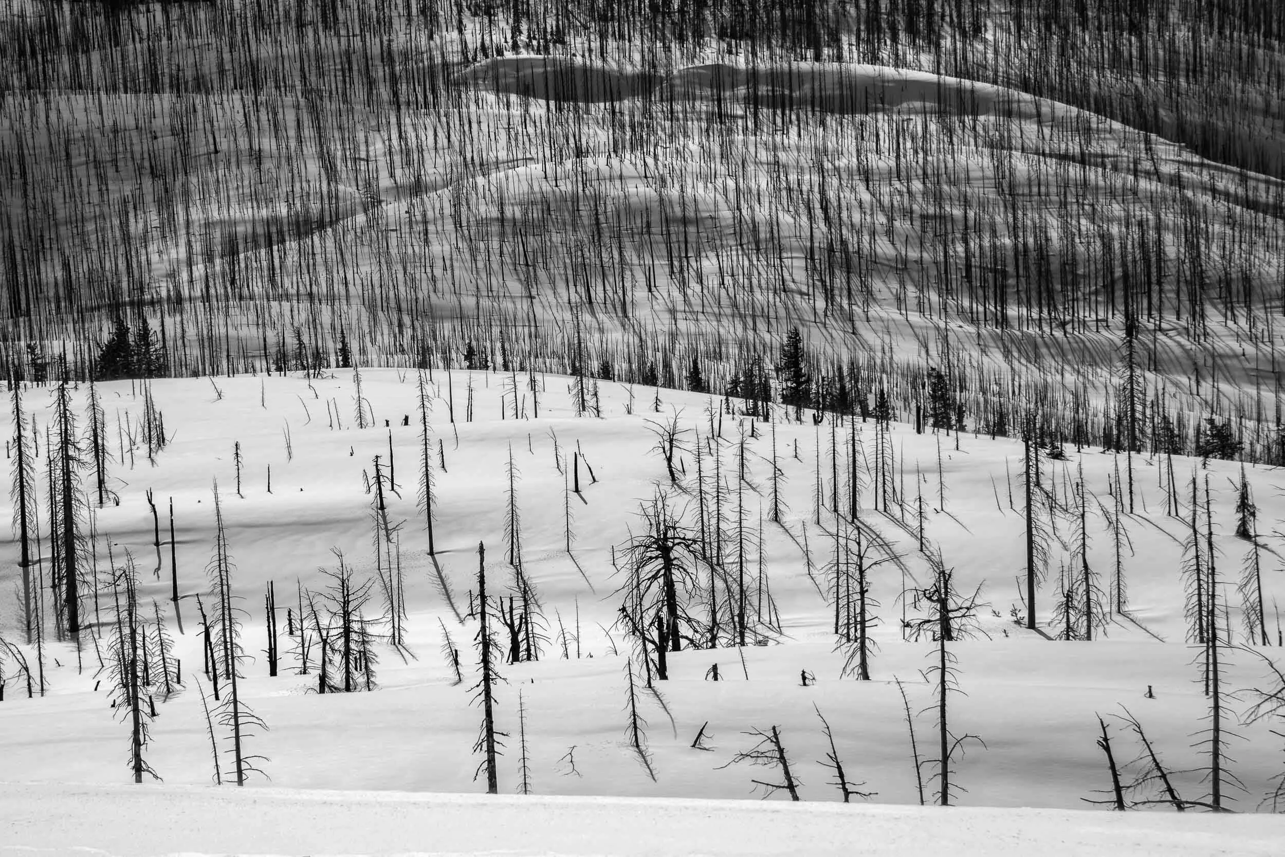 Burn — Scott Rinckenberger Photography