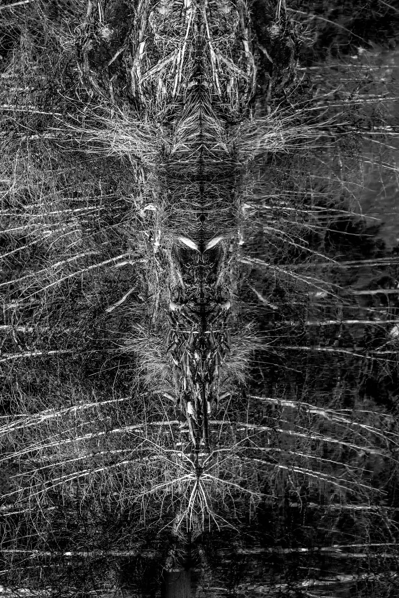 Rotated Reflections — Scott Rinckenberger Photography