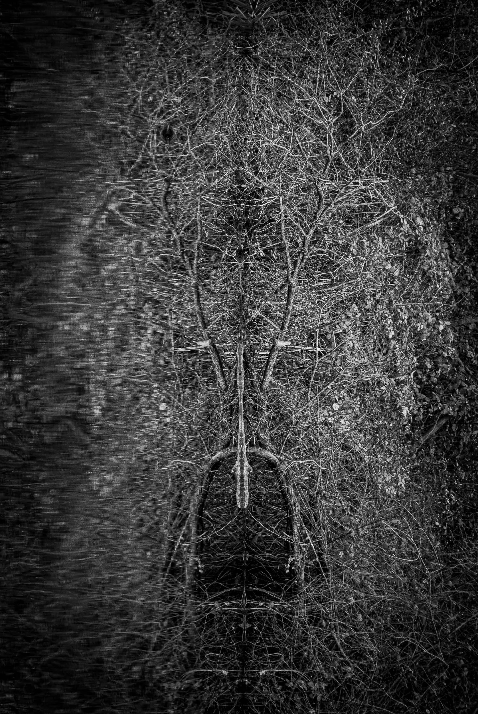 Rotated Reflections — Scott Rinckenberger Photography