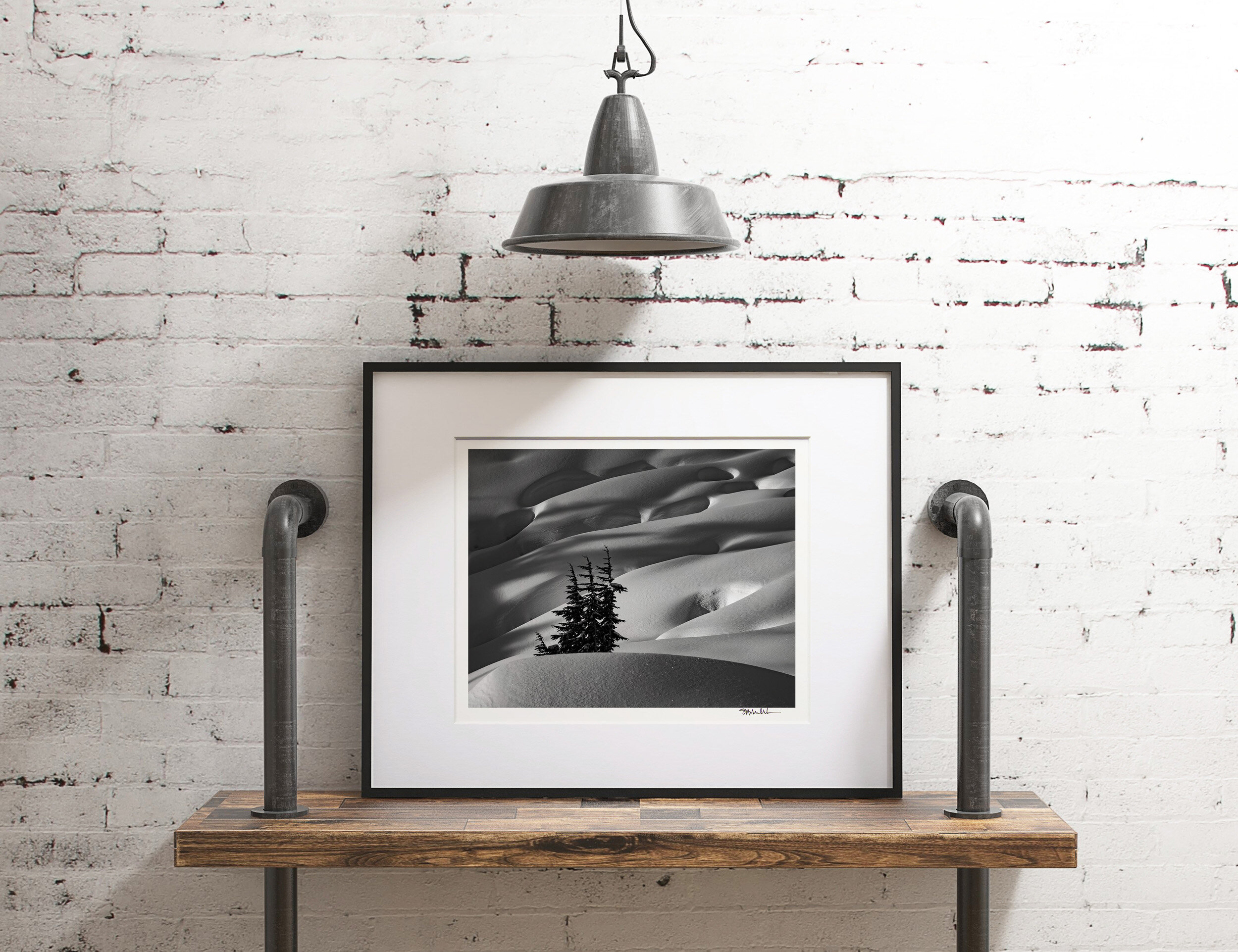 Trees Above Source Lake — Scott Rinckenberger Photography