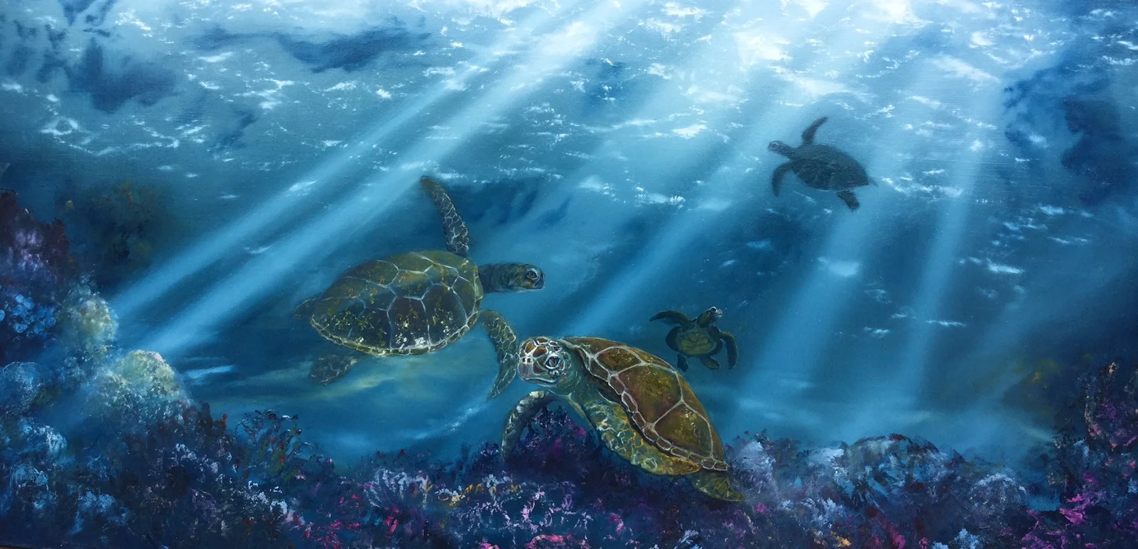 Marine Life — Sumner Studios