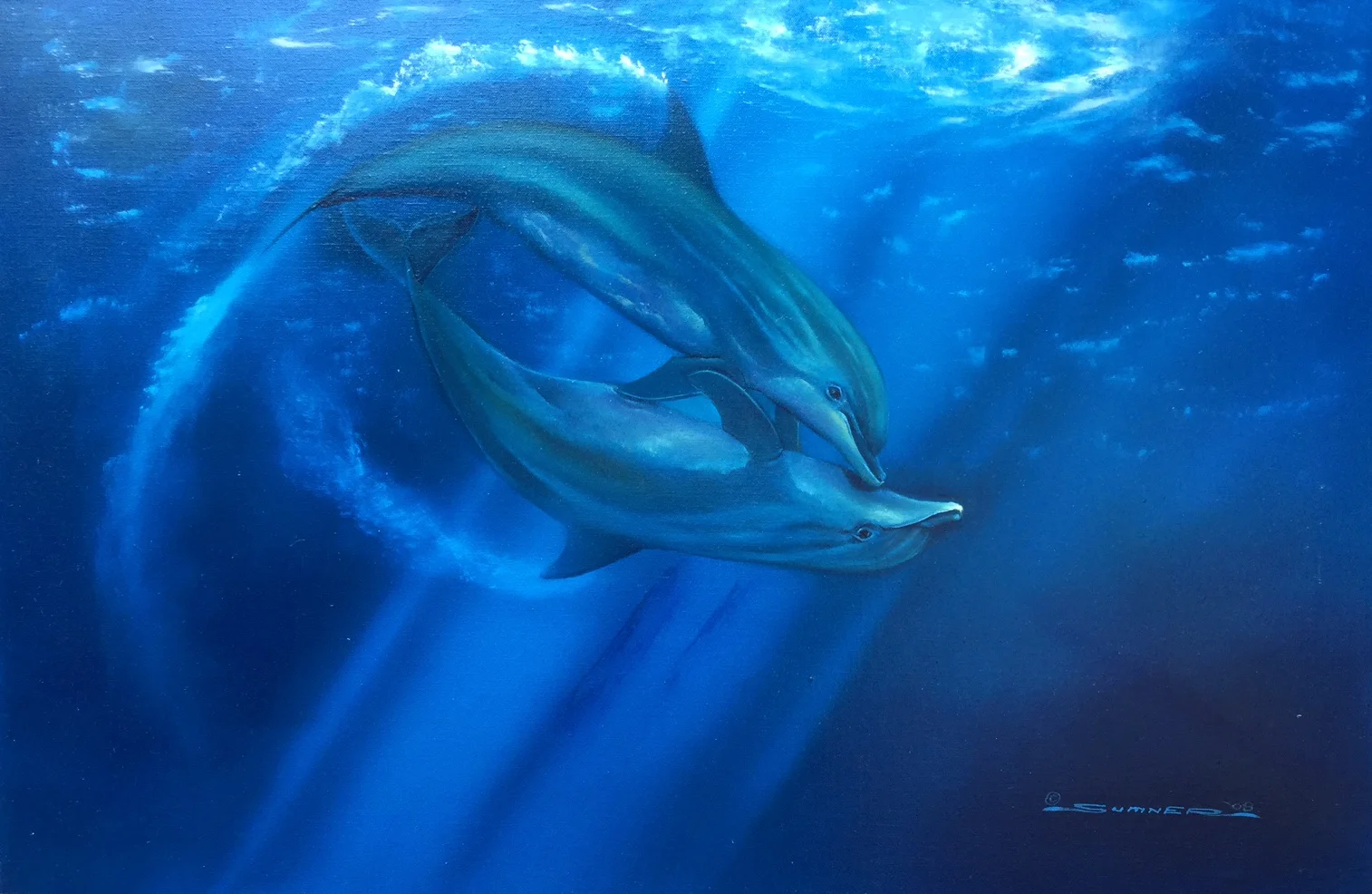 Marine Life — Sumner Studios