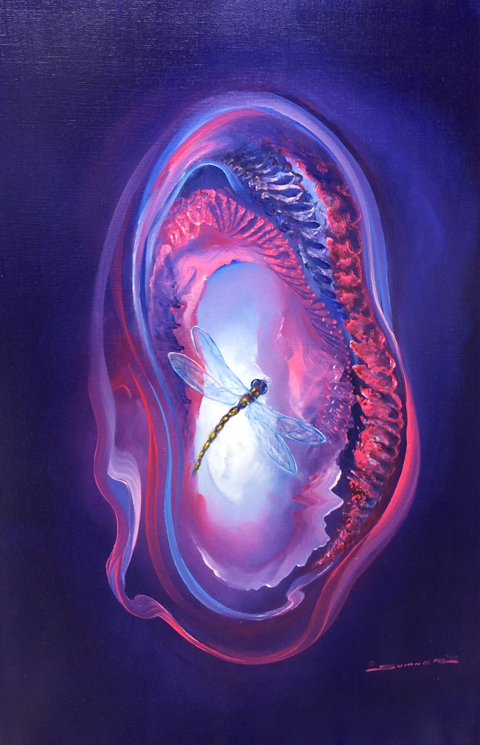 Abstract — Sumner Studios