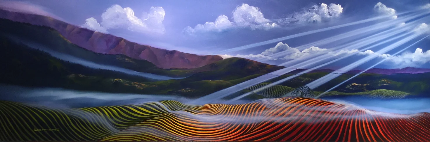 Wine — Sumner Studios