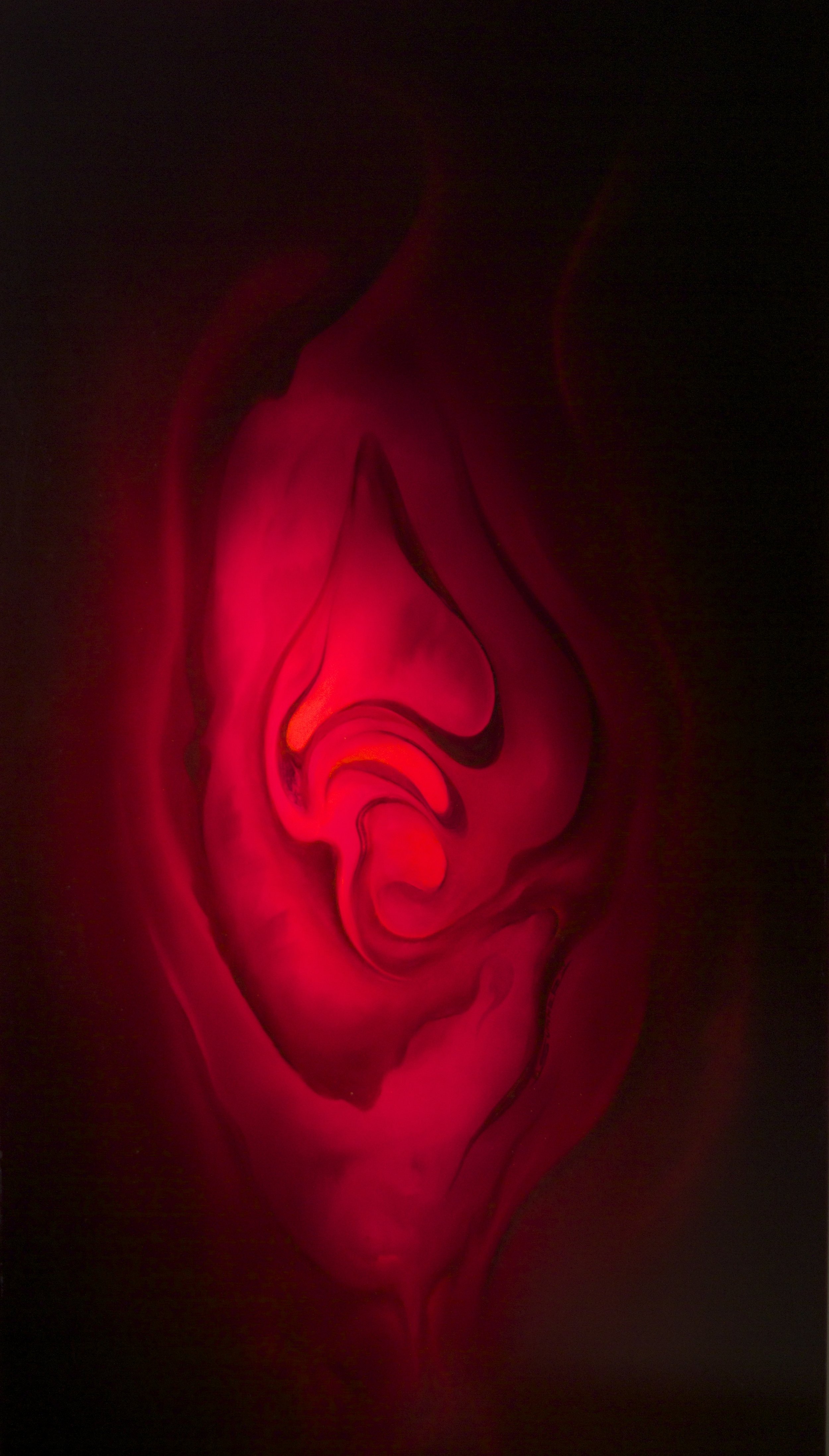 Abstract — Sumner Studios