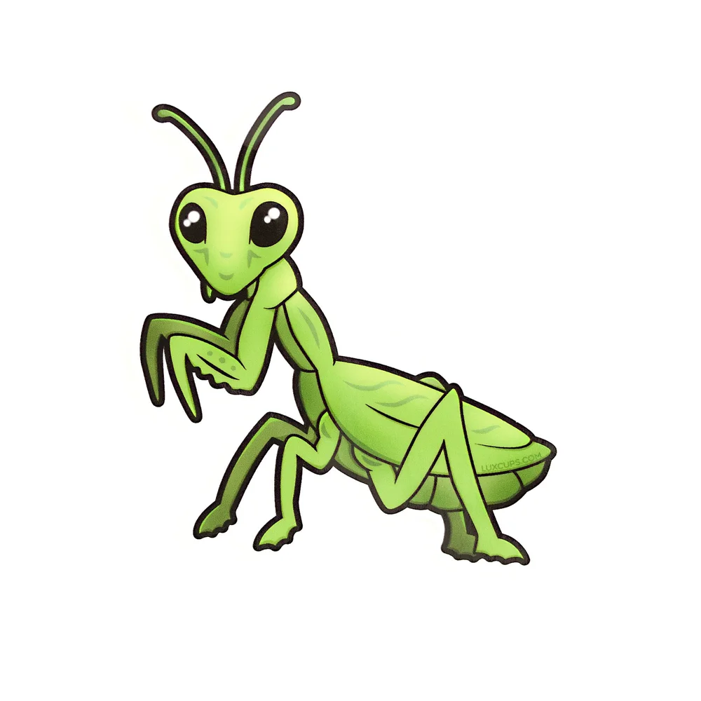 Cartoon Praying Mantis