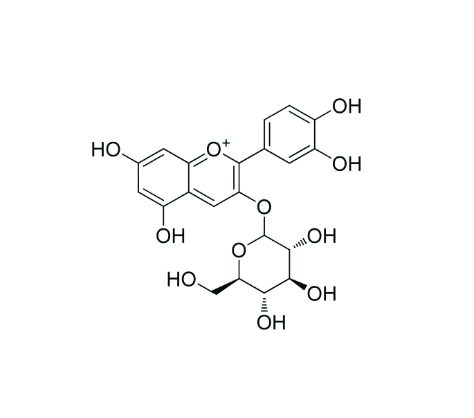 About the Haskap Berry — Rosy Farms