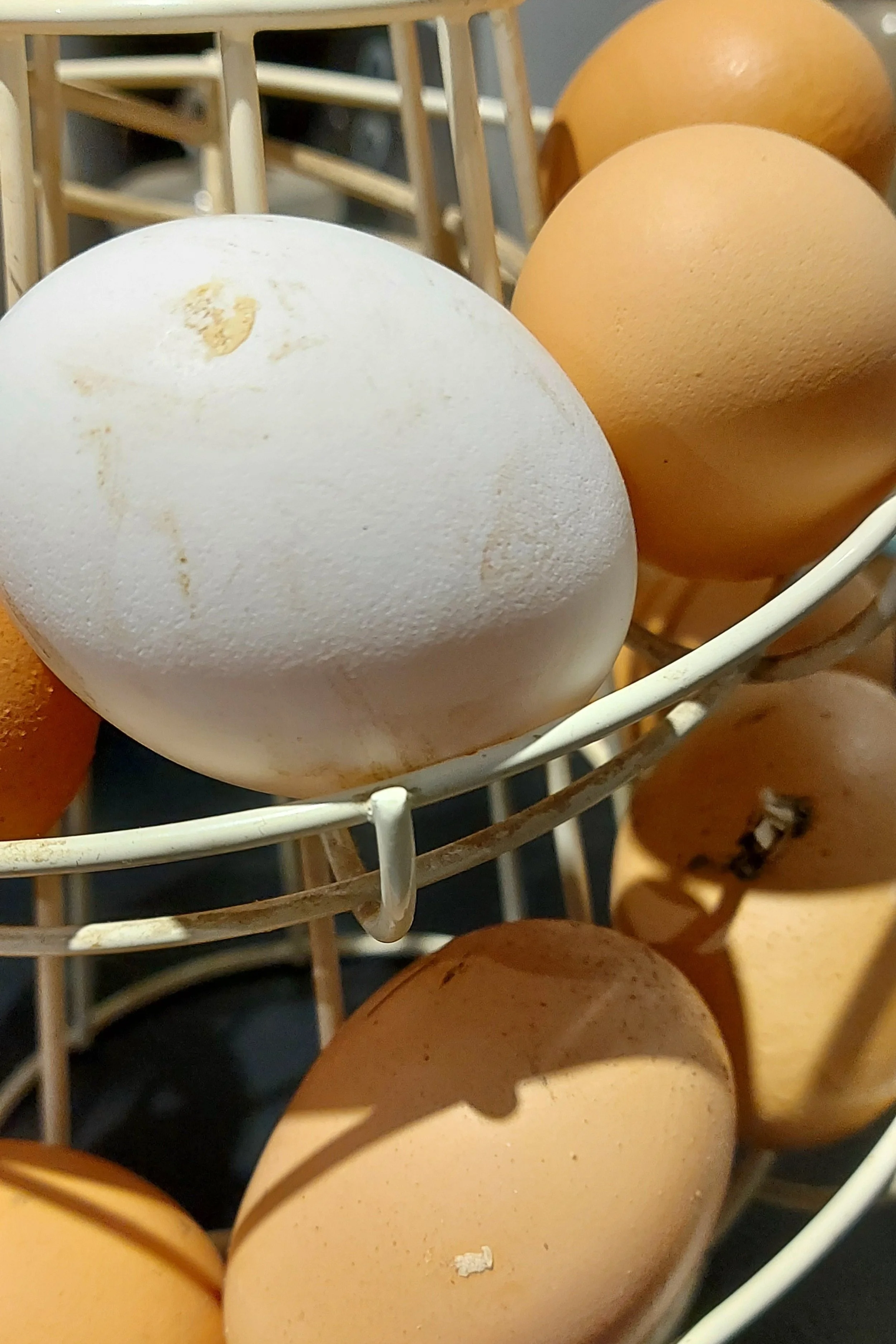 The Free Range Chalet — Veganuary