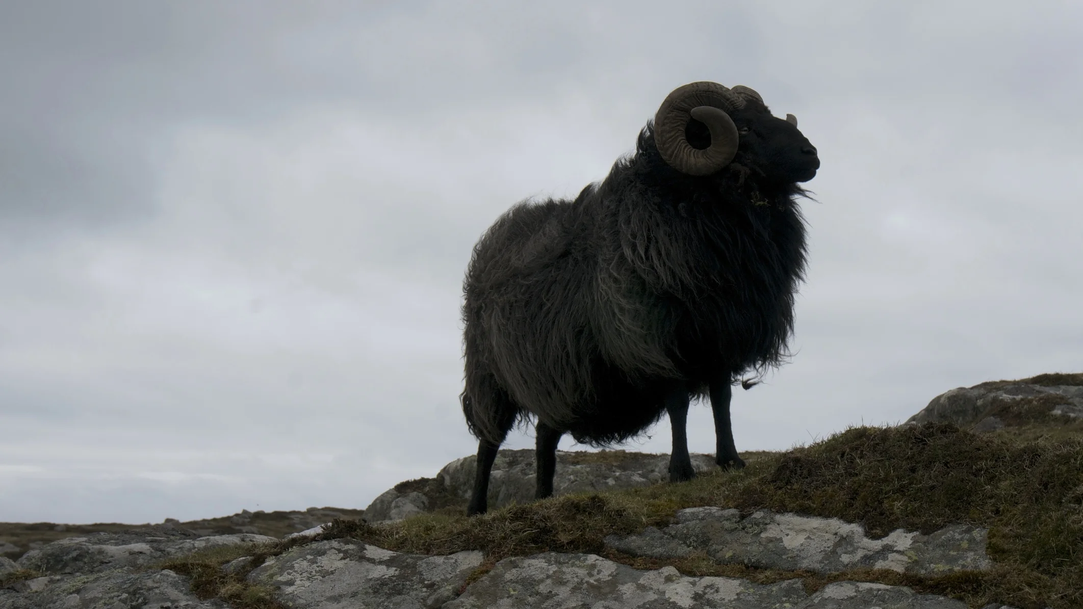 About — The Birlinn Yarn Company