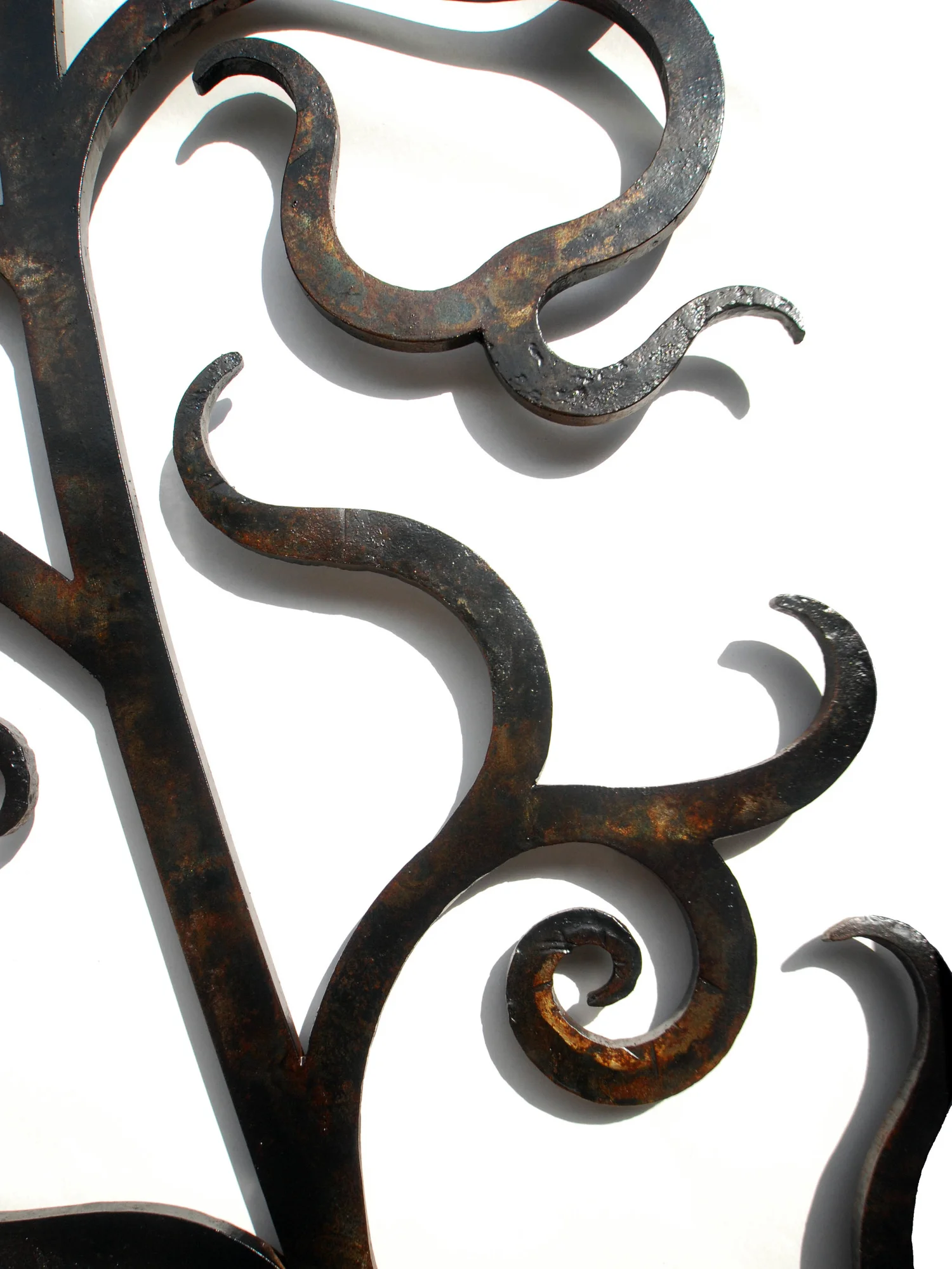 Petina Blacksmith Entry Door — Custom Metal Fabrication in Brooklyn NYC