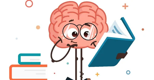 The Science of Reading Meets the Science of Brain Organization. How ...