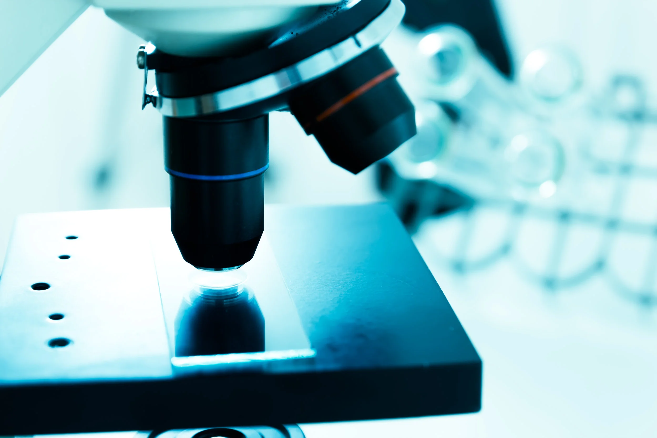 Biopsies | New Rochelle, NY — New Rochelle Radiology