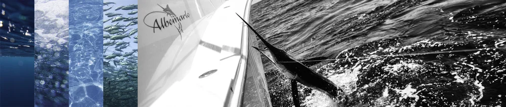 Why Albemarle — Albemarle Boats