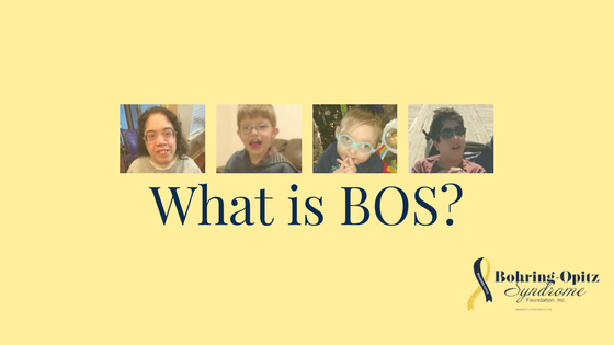 Bohring-Opitz Syndrome Foundation, Inc. What is BOS