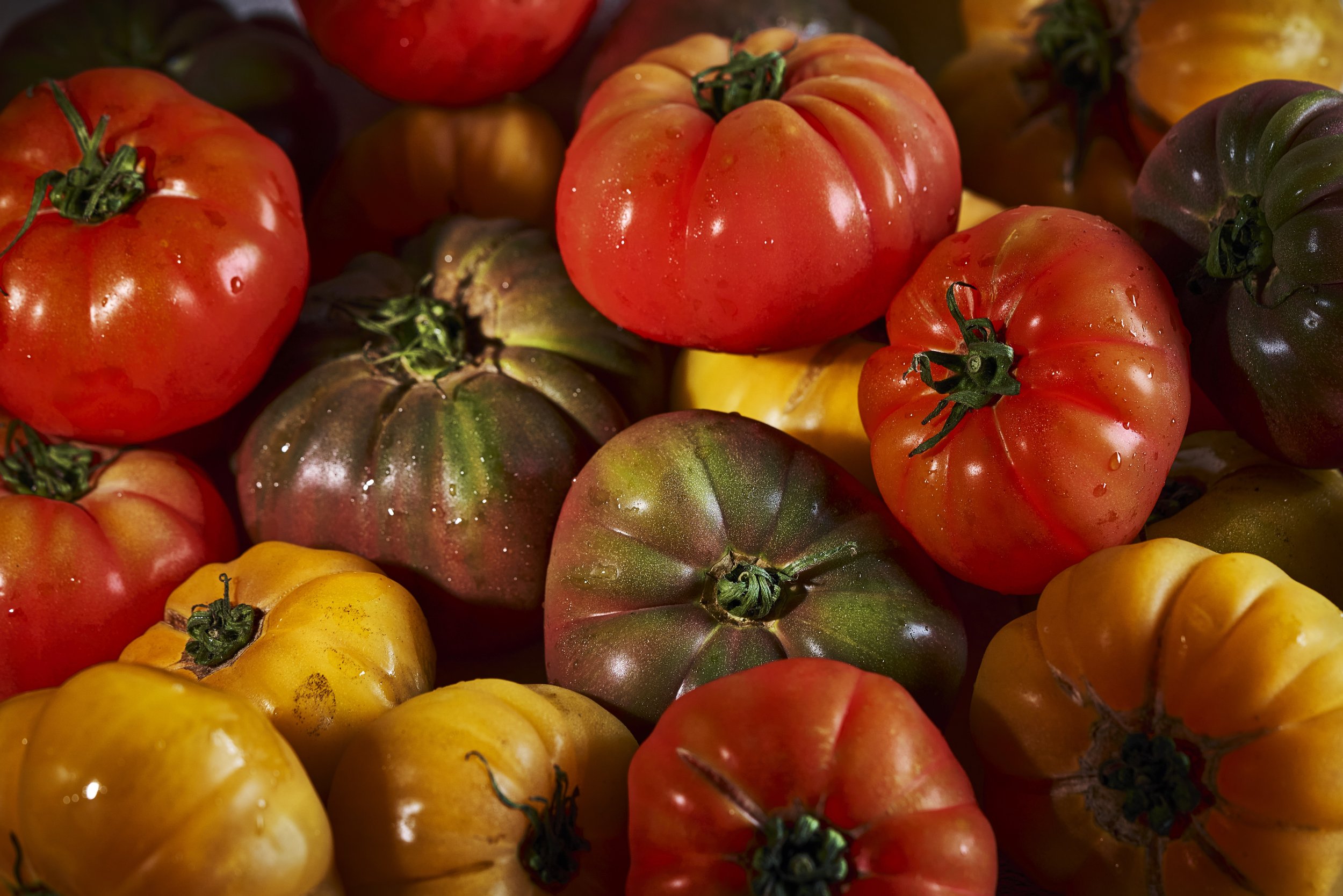 Ugly Tomatoes: A savoury beauty with Hapusa Himalayan Gin — Jigger & Pony