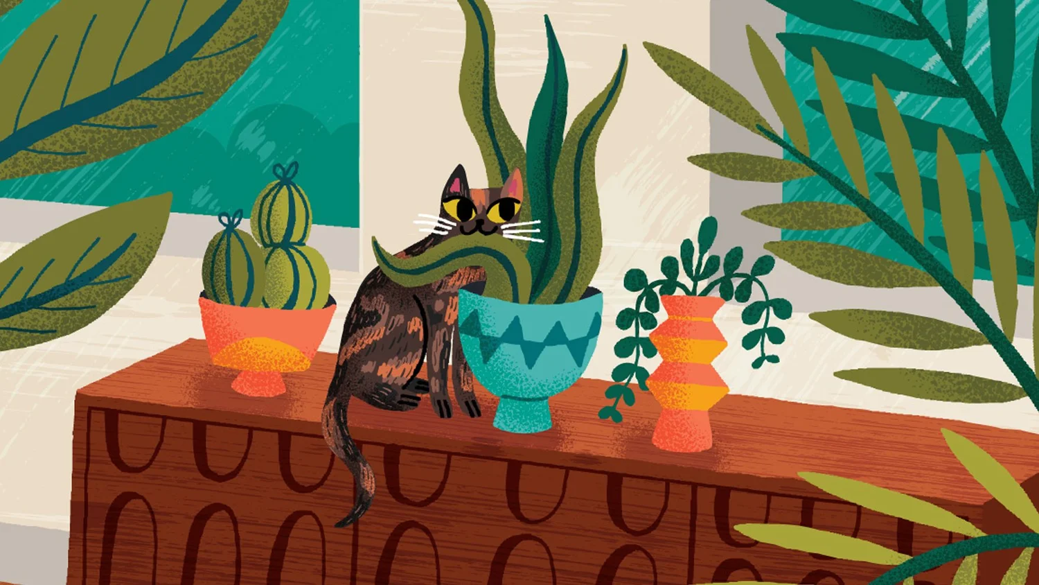 Allison Cole Illustration