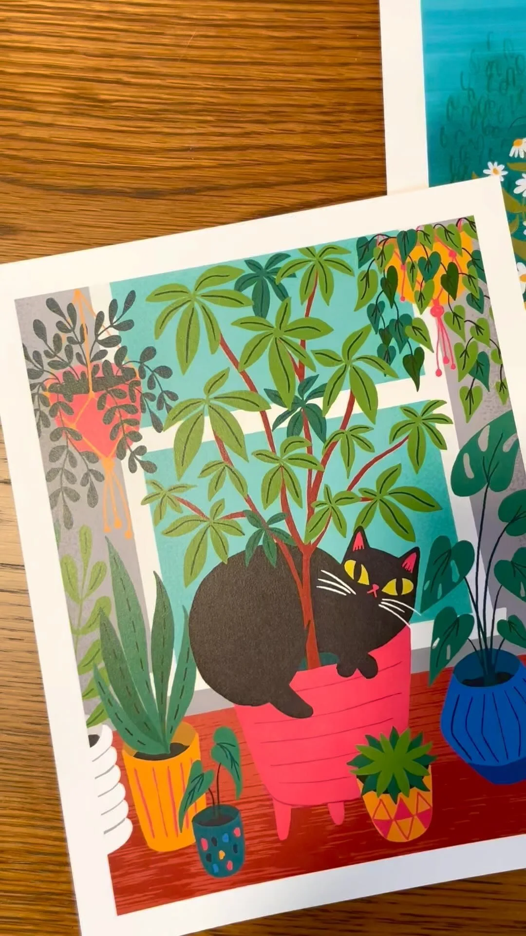 Allison Cole Illustration