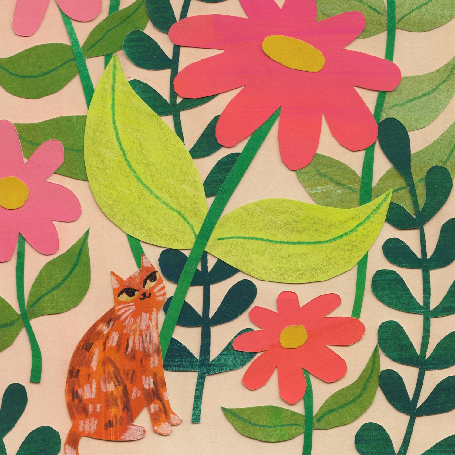 Allison Cole Illustration