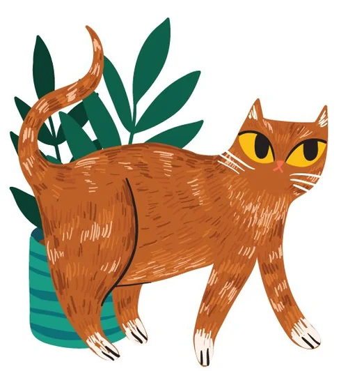 Allison Cole Illustration
