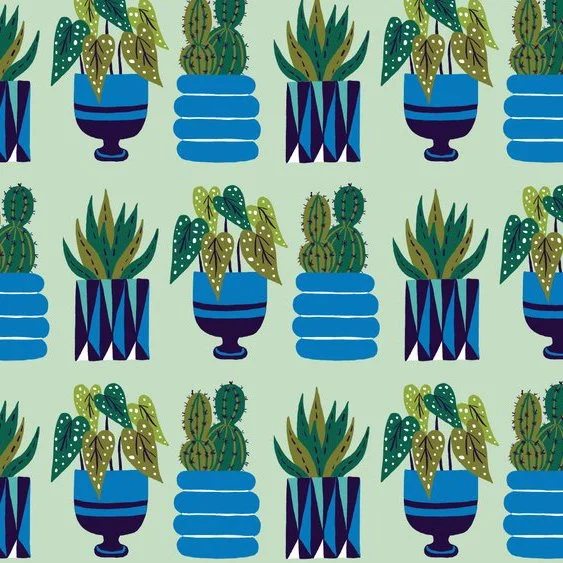 Allison Cole Illustration