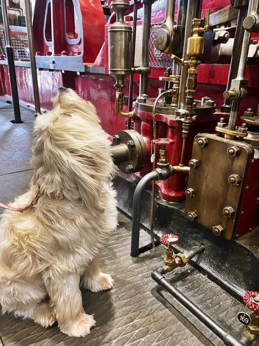 Museum of Technology's Year in Review: 2022 — Cambridge Museum of ...