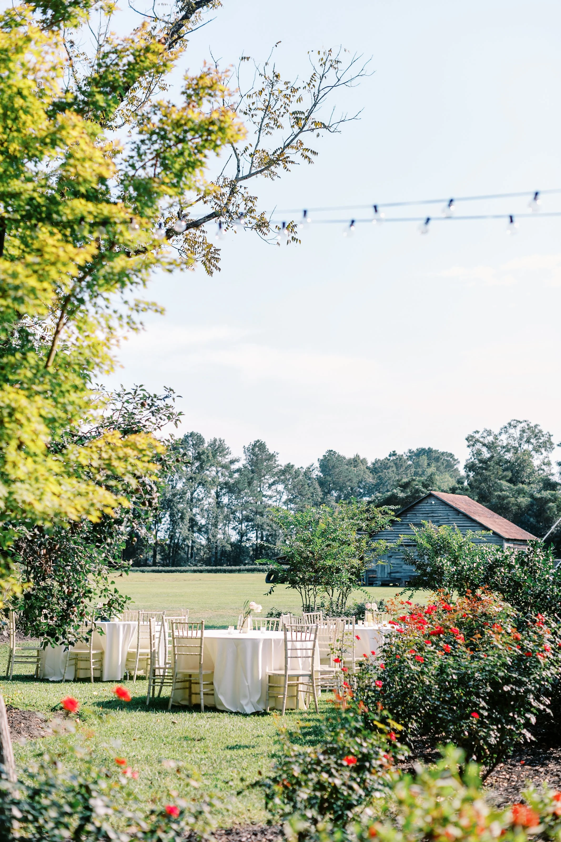 Home — Tanglewood Plantation
