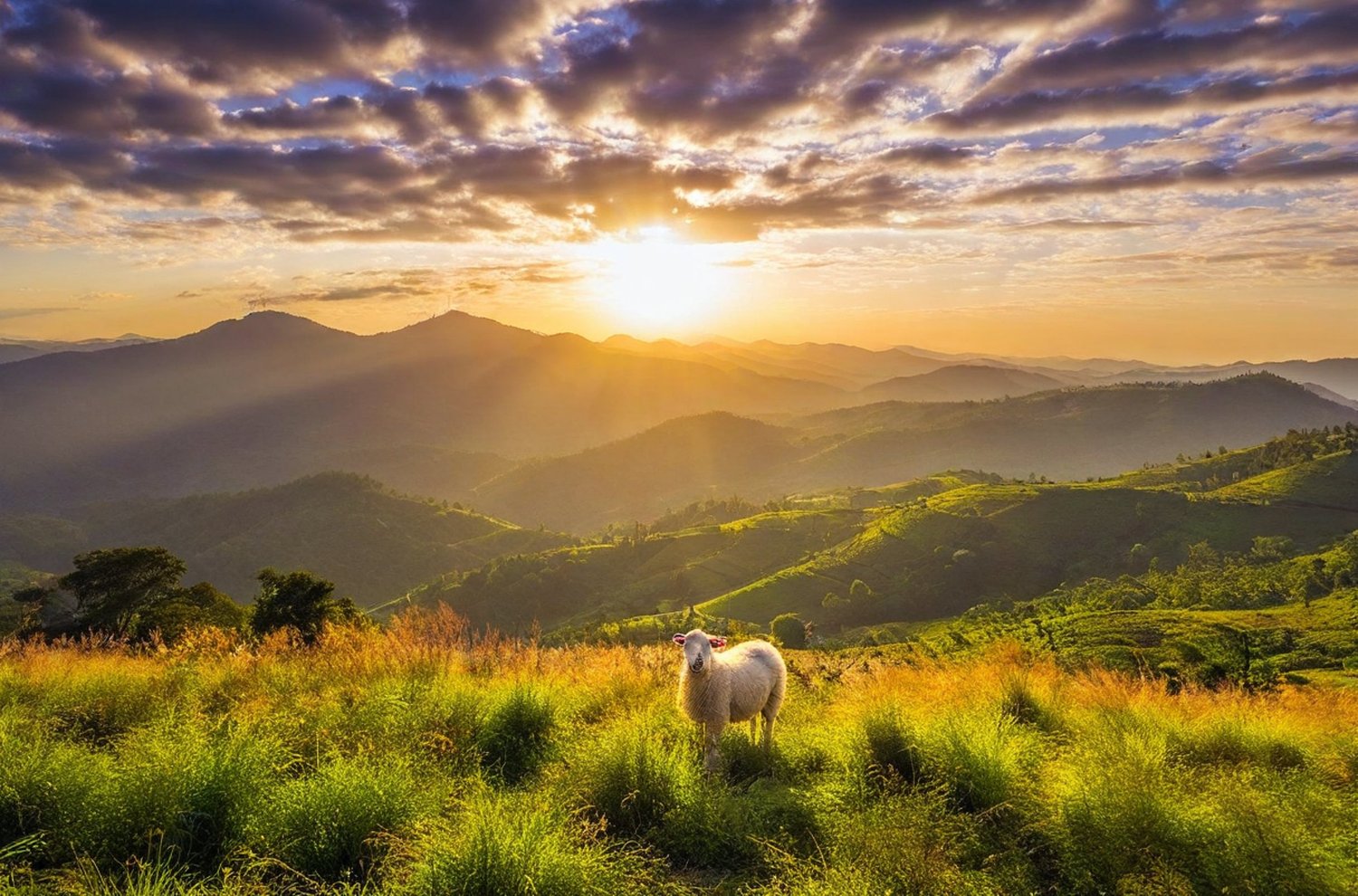 The Song of Moses and the Lamb—a Current Message for God’s People ...